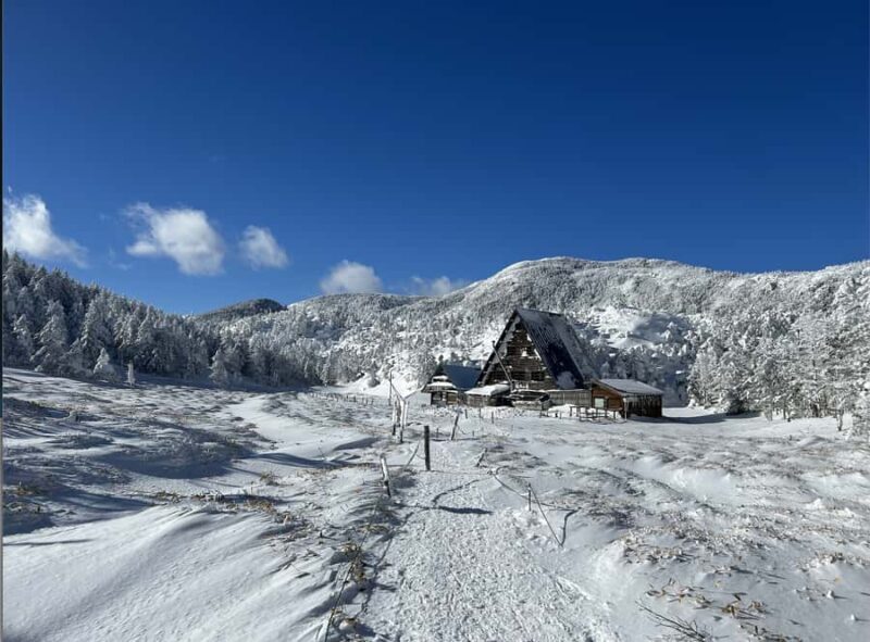 Nagano: 4-Hour Silent Snowshoe Tour + Onsen & Izakaya - Practical Details and Logistics