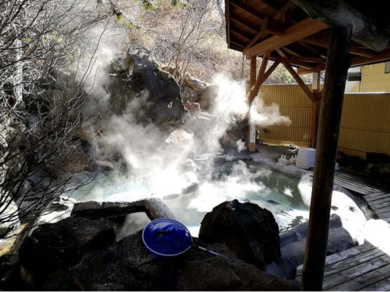 Nagano: 4-Hour Silent Snowshoe Tour + Onsen & Izakaya - What to Bring and Considerations