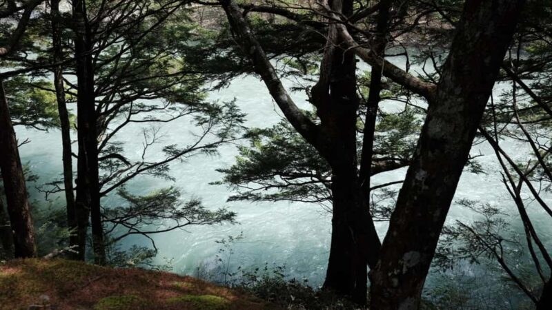 Nagano Autumn special: Kamikochi & Wasabi Farm & Winery - Lunch in the Azumino Countryside: Authentic Flavors