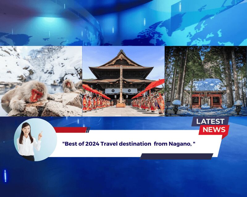 Nagano: Cute & Eccentric Snow Monkeys Half-Day Private Tour - Cost and Value Analysis