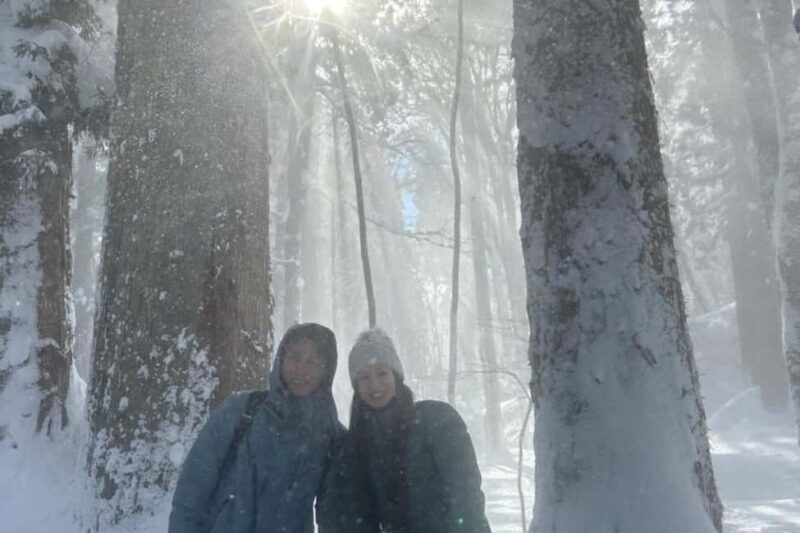 Nagano: Half-Day Private Tour Togakushi Shrine - Who Is This Tour Best For?