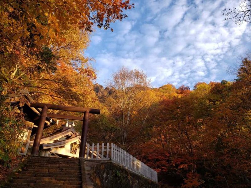 Nagano: Half-Day Private Tour Togakushi Shrine - The Sum Up