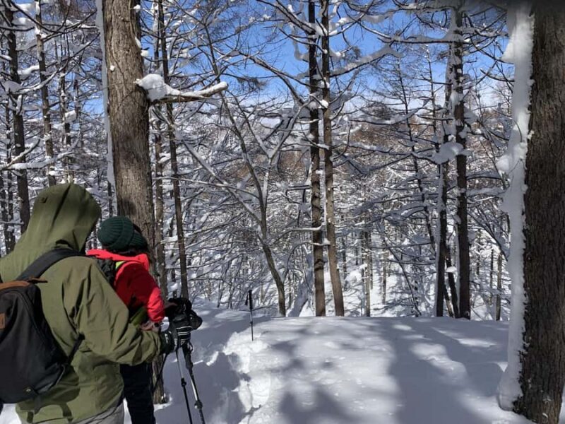Nagano Iiyama : Snowshoe Hike a half-day, Nozawa, Madarao - Key Points