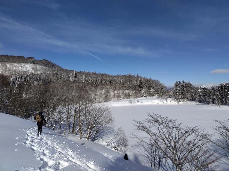 Nagano Iiyama : Snowshoe Hike a half-day, Nozawa, Madarao - A Detailed Look at the Snowshoe Experience in Nagano