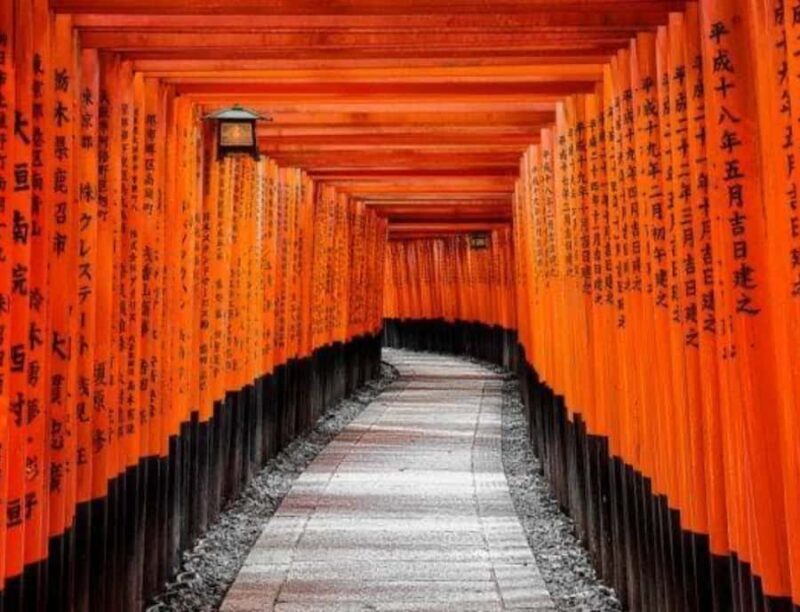 Nagano: Kyoto Private Customizable Tour with Guide - Who Is This Tour Perfect For?