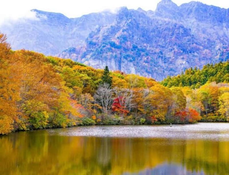 Nagano: Kyoto Private Customizable Tour with Guide - FAQs