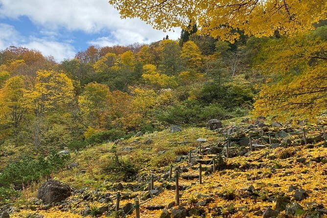 Nagano-Myoko-Joetsu Private Tour with Licensed Guide - Final Thoughts