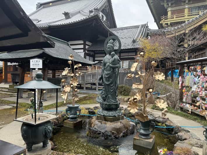 Nagano One Day Private Tour - Key Points