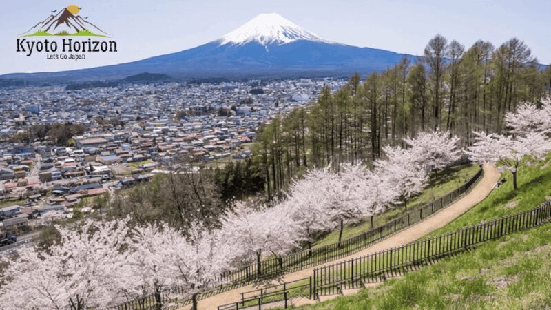 Nagano Private Day Trip, zenkoji temple with Guide&Pickup - Key Points