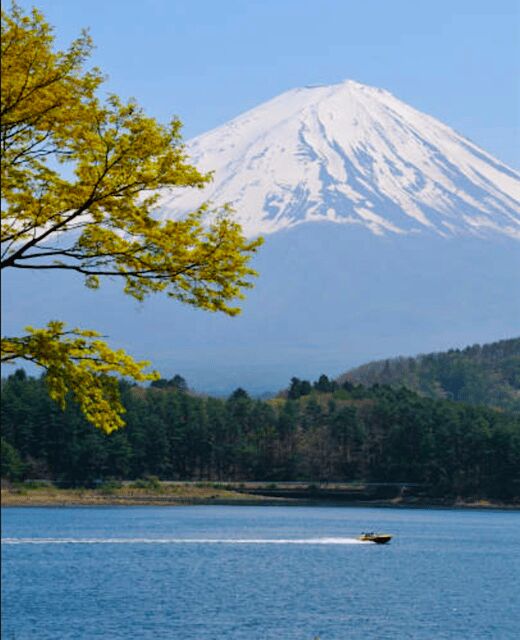 Nagano Private Day Trip, zenkoji temple with Guide&Pickup - Who Will Love This Tour?