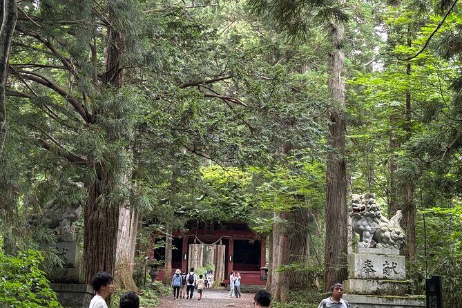 Nagano Private Tour: Ninja Temple, Soba Making & Sake Tasting - Who Should Consider This Tour?