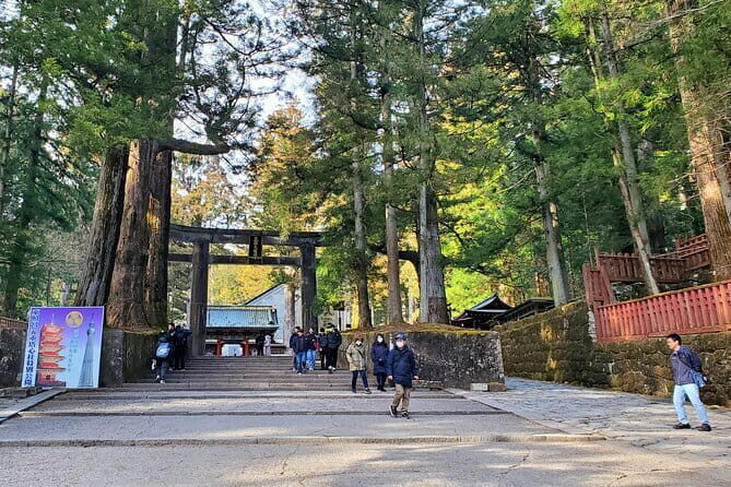 Nagano Private Tour With English Speaking Driver - Togakushi Shrine: Sacred Cedars and Soba Noodles