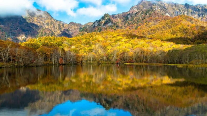 Nagano: private Tour with Snow Monkey Park & Zenko-ji Temple - Who Should Consider This Tour?