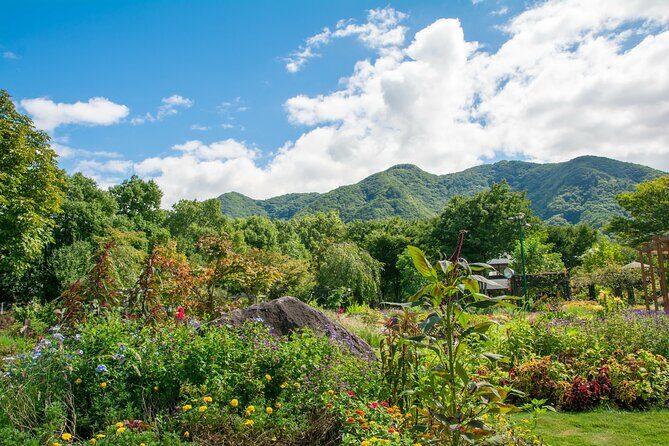 Nagano Snow Monkey and Obuse Tour: English Speaking Driver Only - Final Thoughts