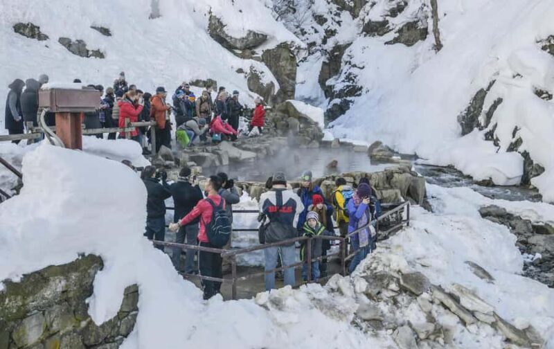 Nagano: Snow Monkey Private Day Tour with Driver from Tokyo - FAQ