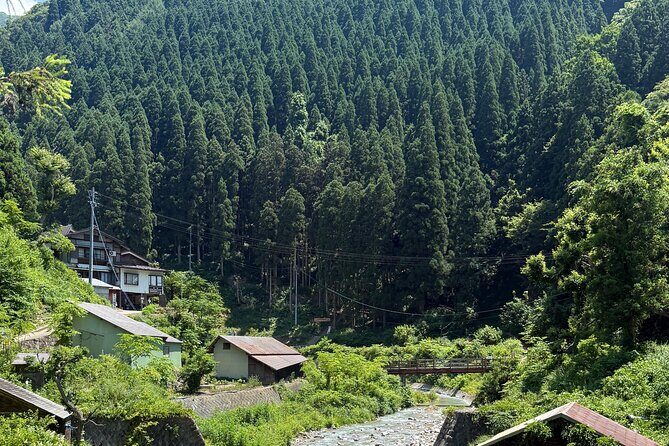 Nagano Snow Monkey Private Full-Day Tour - Authenticity and Value