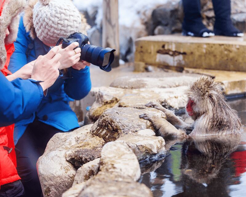 Nagano: Snow Monkeys, Sake Tasting & Zenkoji Private Tour - Key Points