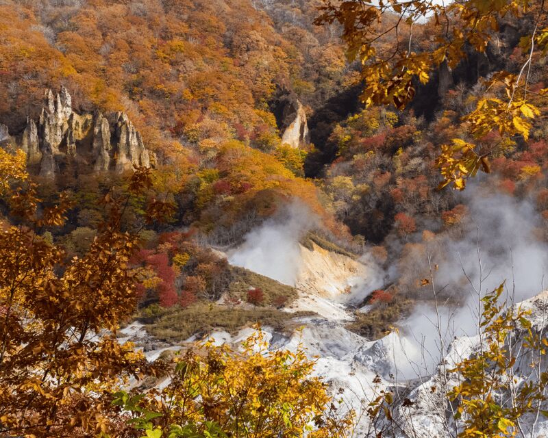Nagano: Snow Monkeys, Sake Tasting & Zenkoji Private Tour - Why This Tour Works for Travelers
