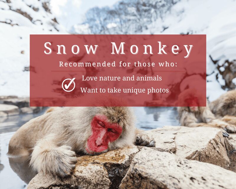 Nagano: Snow Monkeys, Sake Tasting & Zenkoji Private Tour - The Practicalities