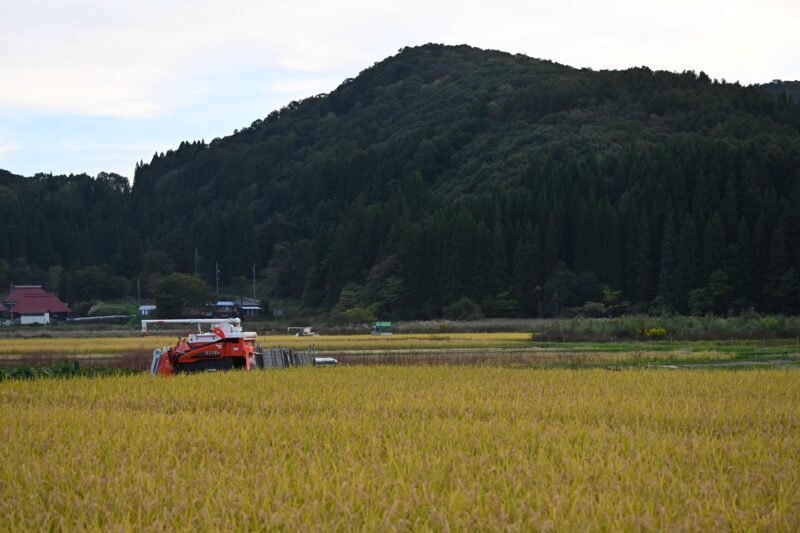 Nagano: Snowboard Riding Experience & Local Life Guided Tour - Final Thoughts