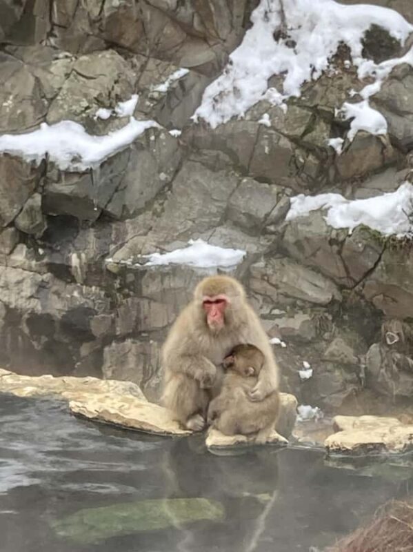 Nagano Snowshoe Adventure with Traditional Kanjiki - The Guides and Equipment