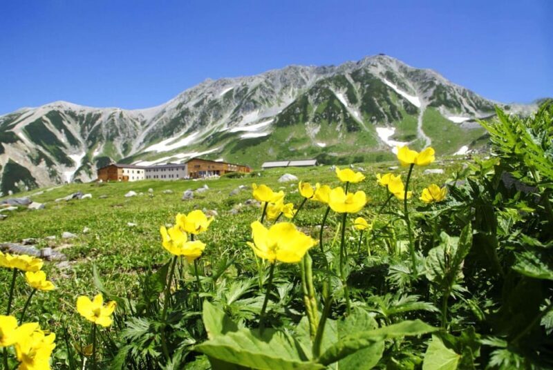 Nagano: Tateyama-Kurobe Guided Walking Tour - Starting Point and Early Morning
