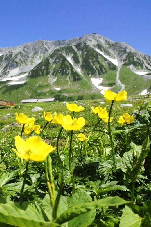 Nagano: Tateyama-Kurobe Guided Walking Tour - What to Wear and Bring