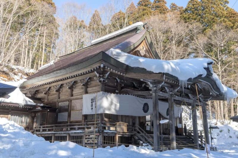 Nagano: Togakushi Shrine & Jigokudani Snow Monkey Park Trip - An In-Depth Look at the Nagano Tour