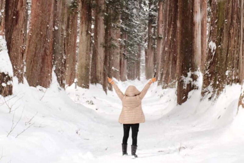 Nagano: Togakushi Shrine, Sake & Zenkoji Private Tour - Key Points