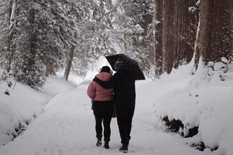 Nagano: Togakushi Shrine, Sake & Zenkoji Private Tour - The Practicalities: How the Tour Works