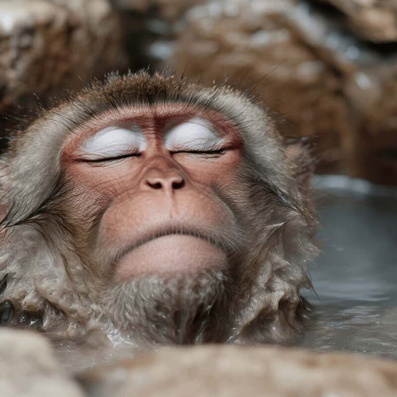 Nagano & Tokyo: Snow Monkey Park Private Tour Customizable - FAQ