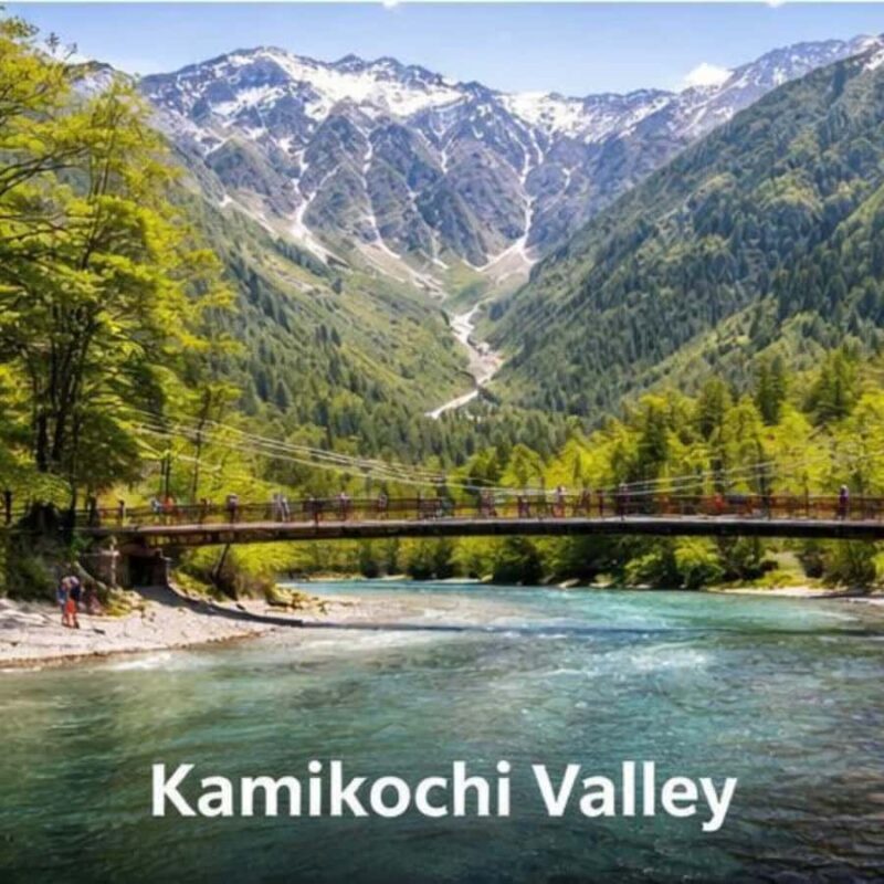 Nagano/Tokyo: Snow Monkey Private Car Tour Hotel Pick & Drop - Transportation and Comfort