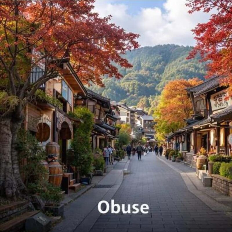 Nagano/Tokyo: Snow Monkey Private Car Tour Hotel Pick & Drop - Practical Details That Matter