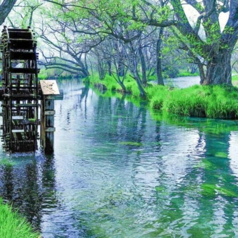 Nagano & Tokyo: Snow Monkey Private Customizable Day Tour - An In-Depth Look at What You Can Expect