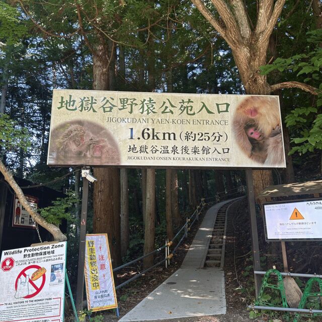 Nagano/Tokyo: Snow Monkey Private Day Tour At Lowest Rate - Key Points