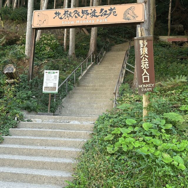 Nagano/Tokyo: Snow Monkey Private Day Tour At Lowest Rate - Unpacking the Experience: What This Tour Offers