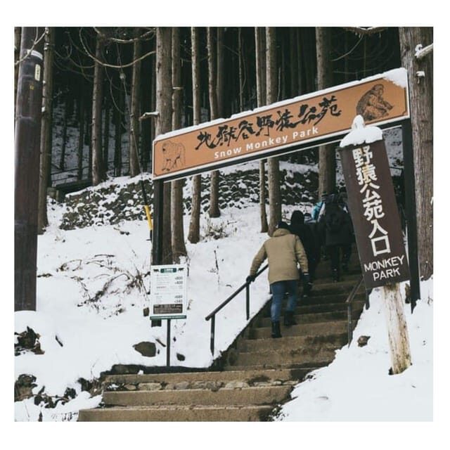 Nagano Tokyo: Snow Monkey Private Day Tour Hotel Pick & Drop - Who Will Love This Tour?