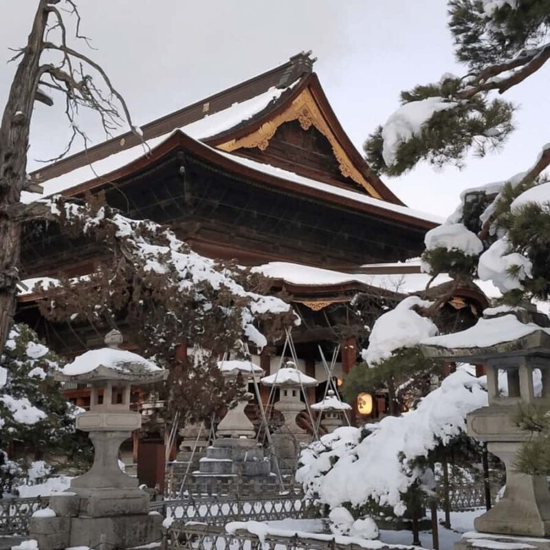 Nagano Tokyo: Snow Monkey, Zenkoji Temple Private Van Tour - Visiting Obuse and Shibu Onsen