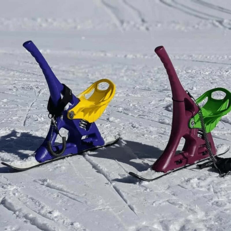 Nagano Tokyo: Snow Monkey, Zenkoji Temple Private Van Tour - The Practical Side: Comfort, Flexibility, and Value