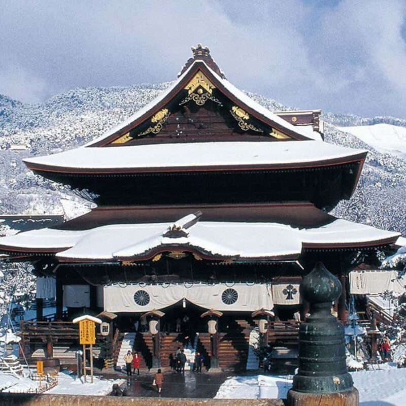 Nagano Tokyo: Snow Monkey, Zenkoji Temple Private Van Tour - What Travelers Say