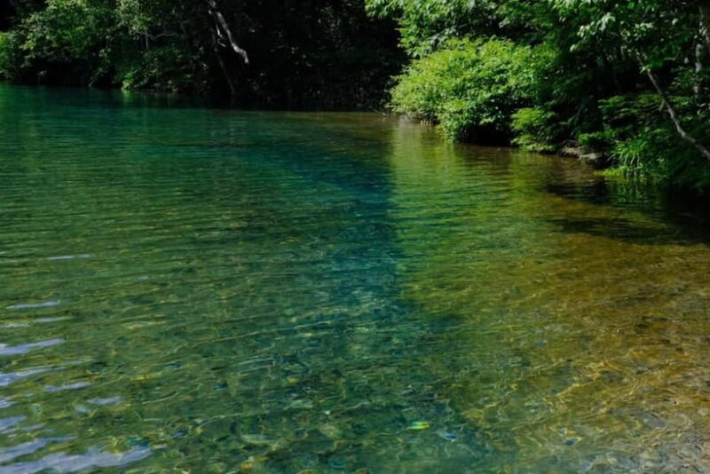 Nagano UNESCO Park: Emerald Acid Lake & Ghibli Onsen Town - Deep Dive into the Value