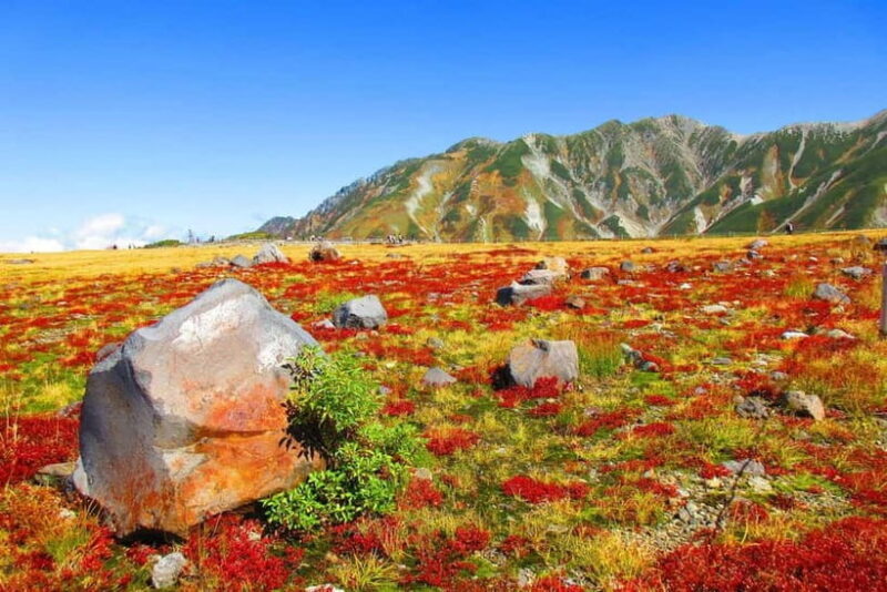 Nagano: Worlds Edge Tateyama Kurobe Alpine Route Tour - What is the Tateyama Kurobe Alpine Route?