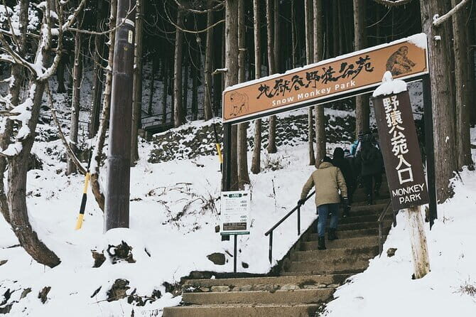 Naganos Snow Monkeys and Sake Tasting Day Tour - Final Thoughts: Who Will Love This Tour?