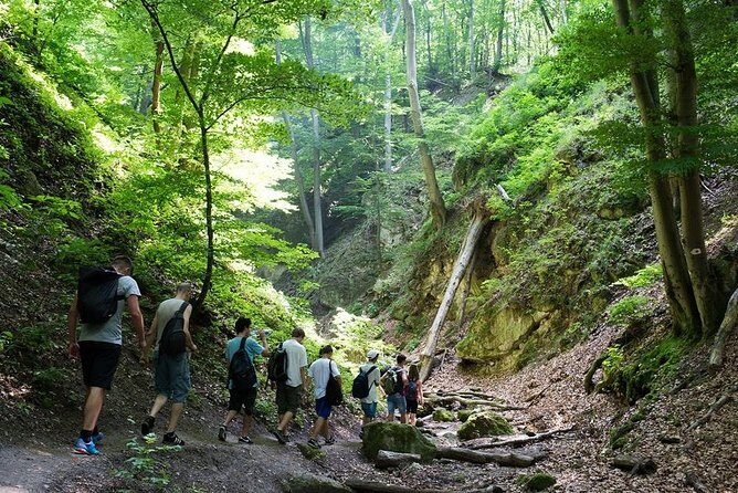 Nagarjung Day Hike - The Hike Begins: Into the Forest and Up to Jamacho