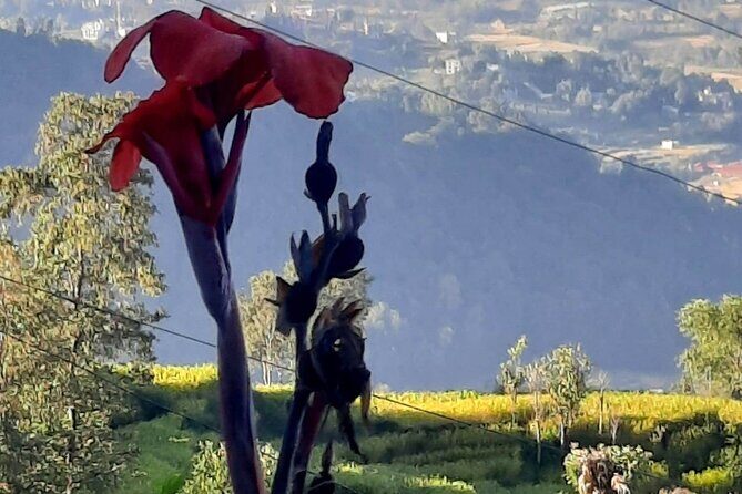 Nagarkot (2175m) Sunrise and Day Hike to Changunarayan Temple - An In-Depth Look at the Nagarkot Sunrise and Hike Tour
