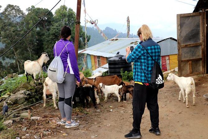 Nagarkot to Chisapani Trek around Kathmandu - 3 Days - FAQs