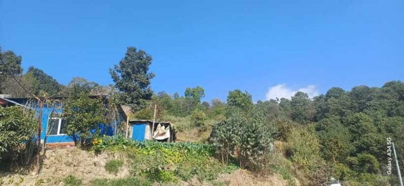 Nagarkot Zipline Day Tour - Timing and Weather Conditions