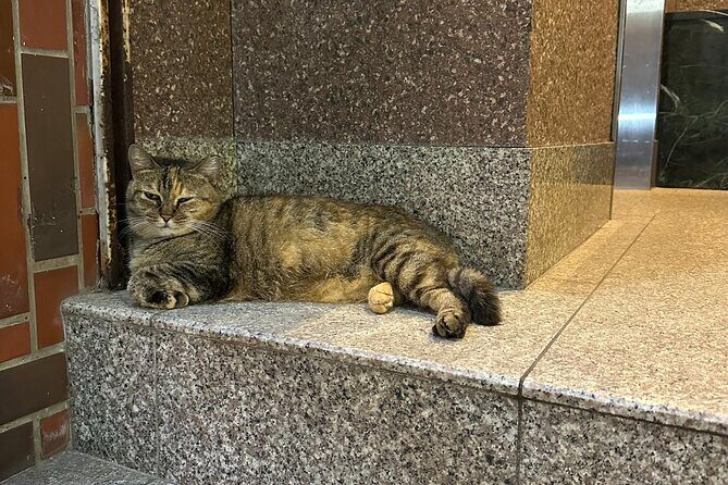 Nagasaki Backstreet Foodie Evening Walk - What to Expect from the Nagasaki Backstreet Foodie Evening Walk