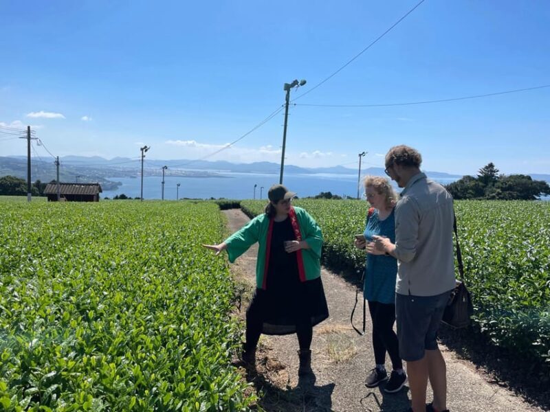 Nagasaki: Explore Japanese Teas on a Tea Tour - An Authentic Peek Into Nagasaki’s Tea World
