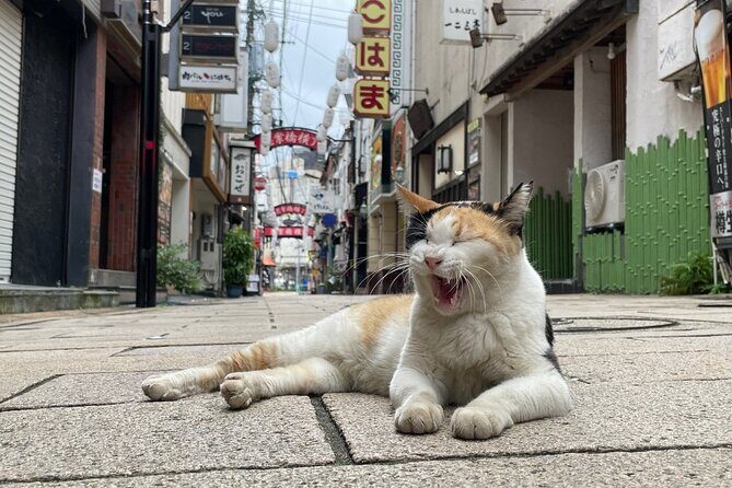 Nagasaki Full Day Private Tour with a Local - FAQ About the Nagasaki Private Tour